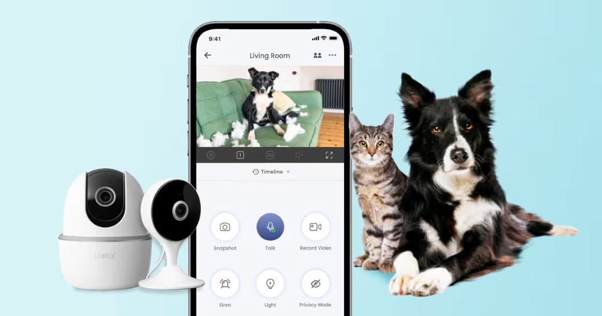 Pet Cameras - Keep an Eye on Your Pets, From Anywhere | Lorex CA ...